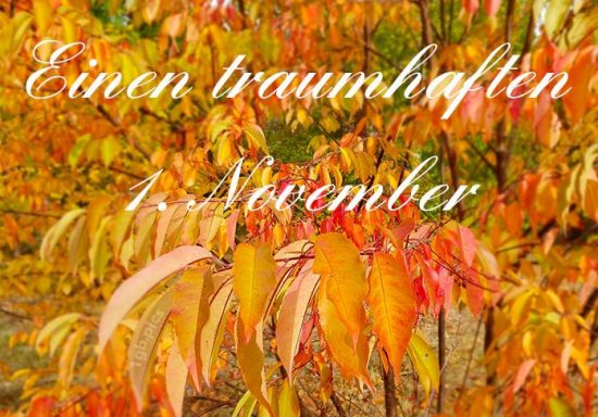 Standort - Auto Welt von Rotz